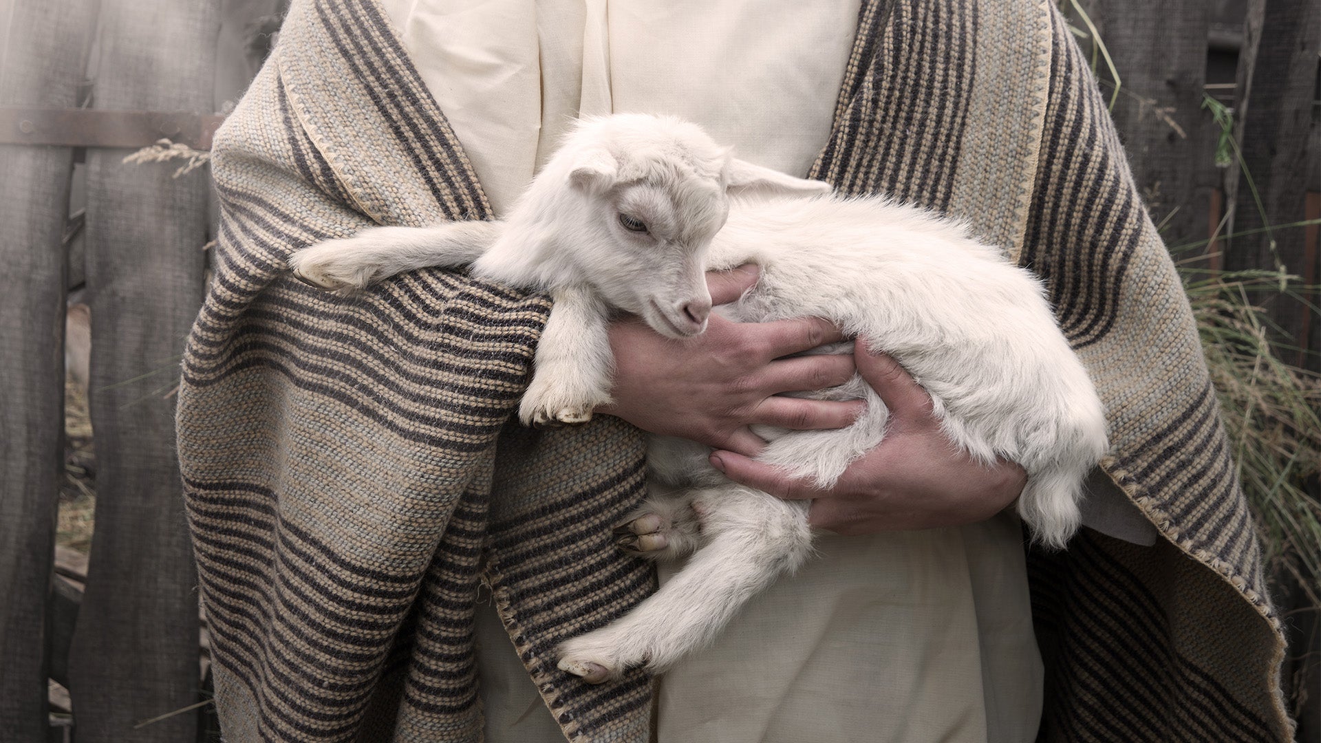 The Parable of the Lost Sheep: Finding Hope in Life's Wilderness ...